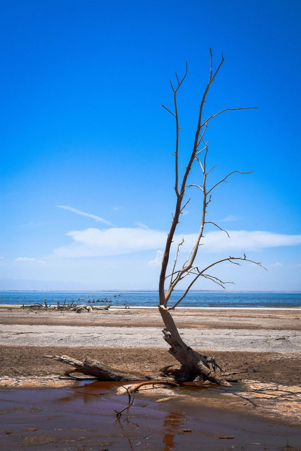 Levi Vincent – Creative Expression